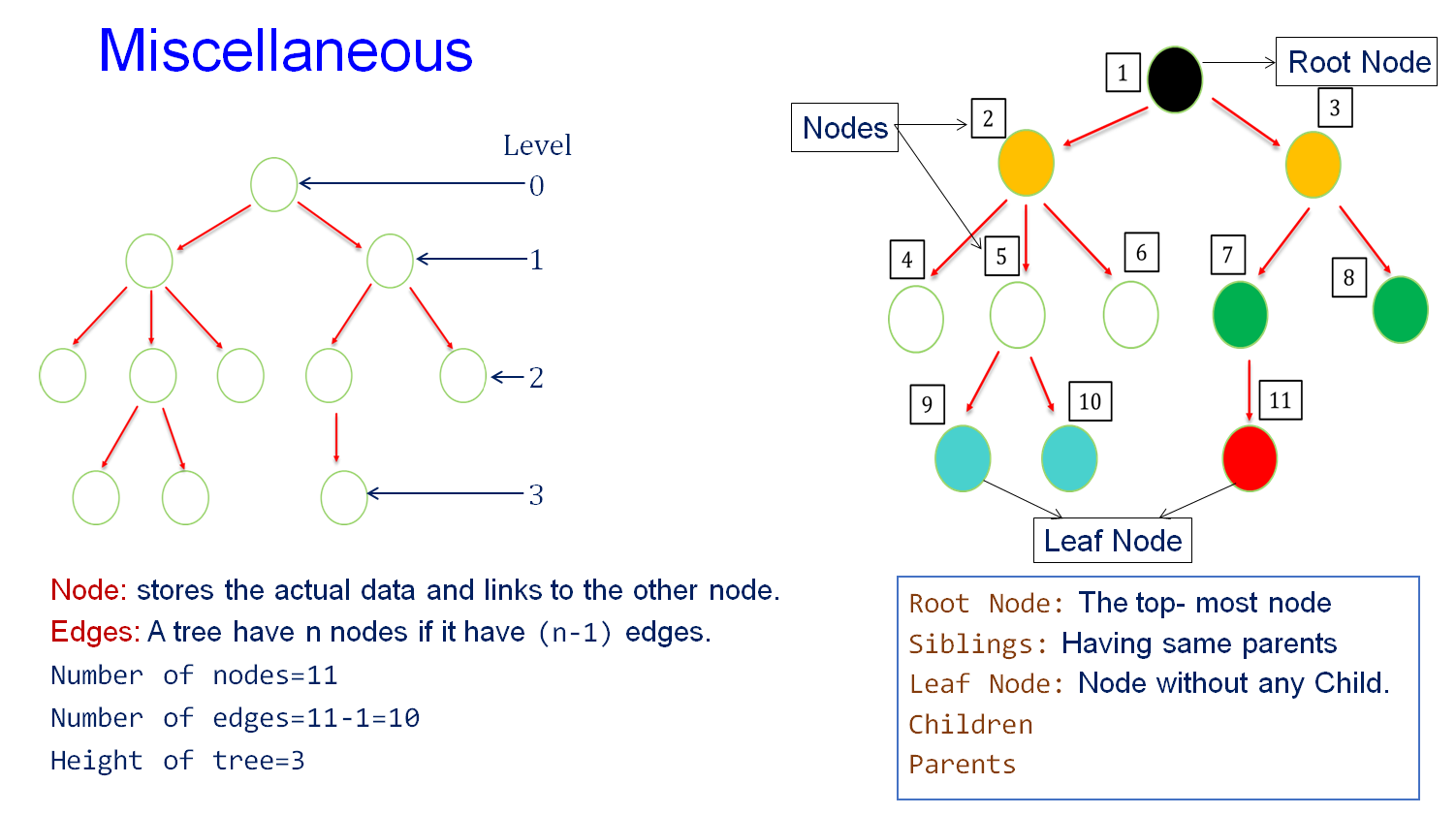 Data Structure using C: 1_Trees basics