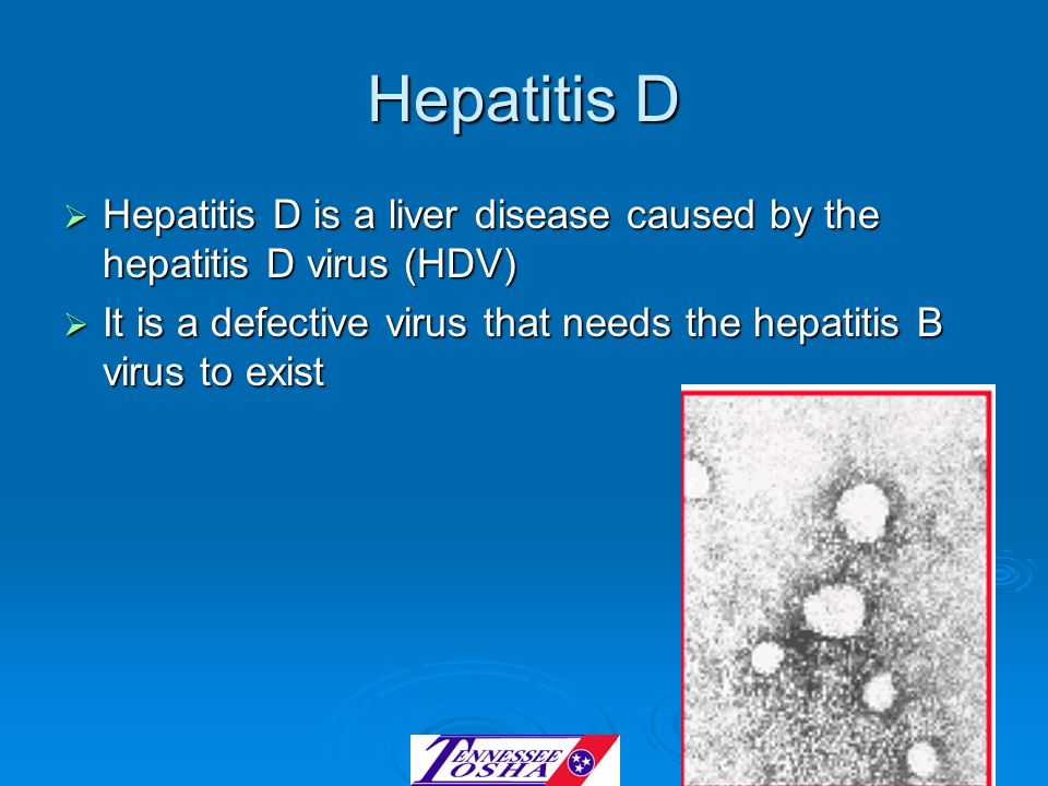Hepatitis D Facts for Awareness