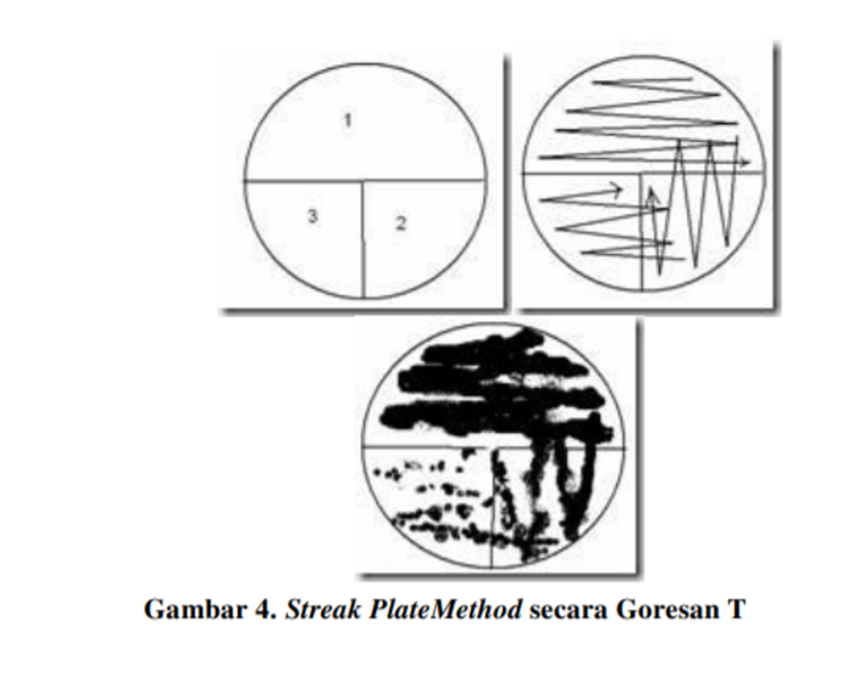 Dasar - Dasar Teknik Mikrobiologi