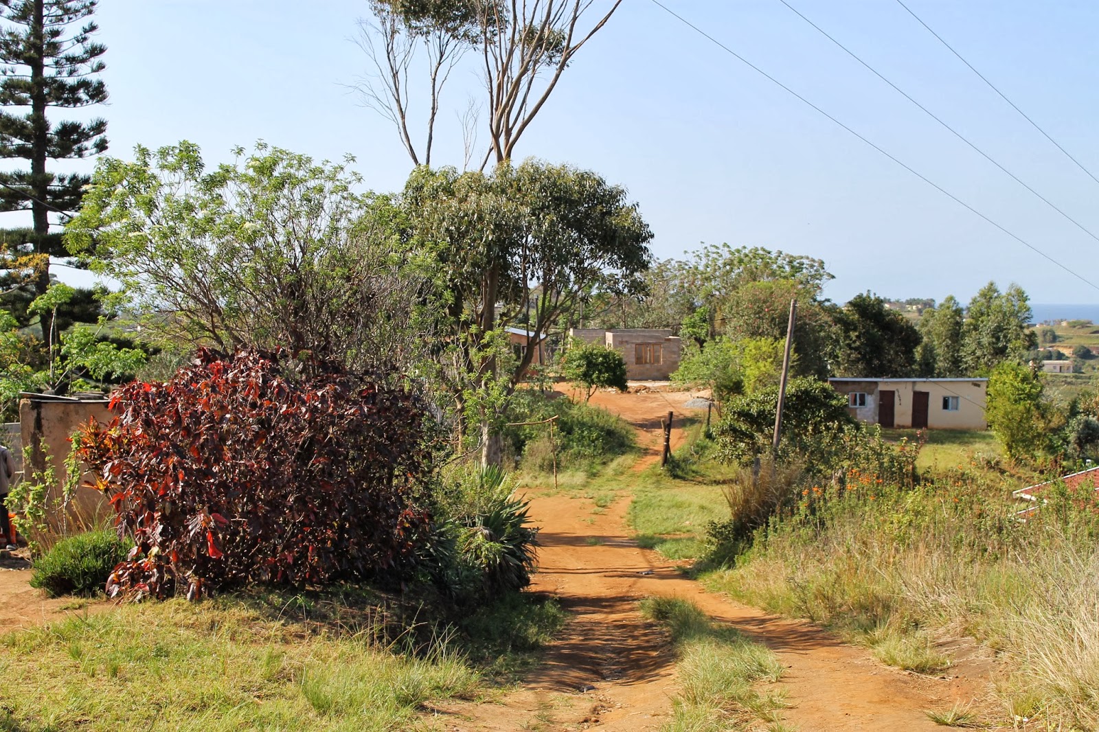 My Journey: Healthcare & International Travel: Mtwalume: Description ...