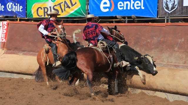 Frecuencia Deportiva: EDUARDO TAMAYO Y JUAN CARLOS LOAYZA DE SANTA ...