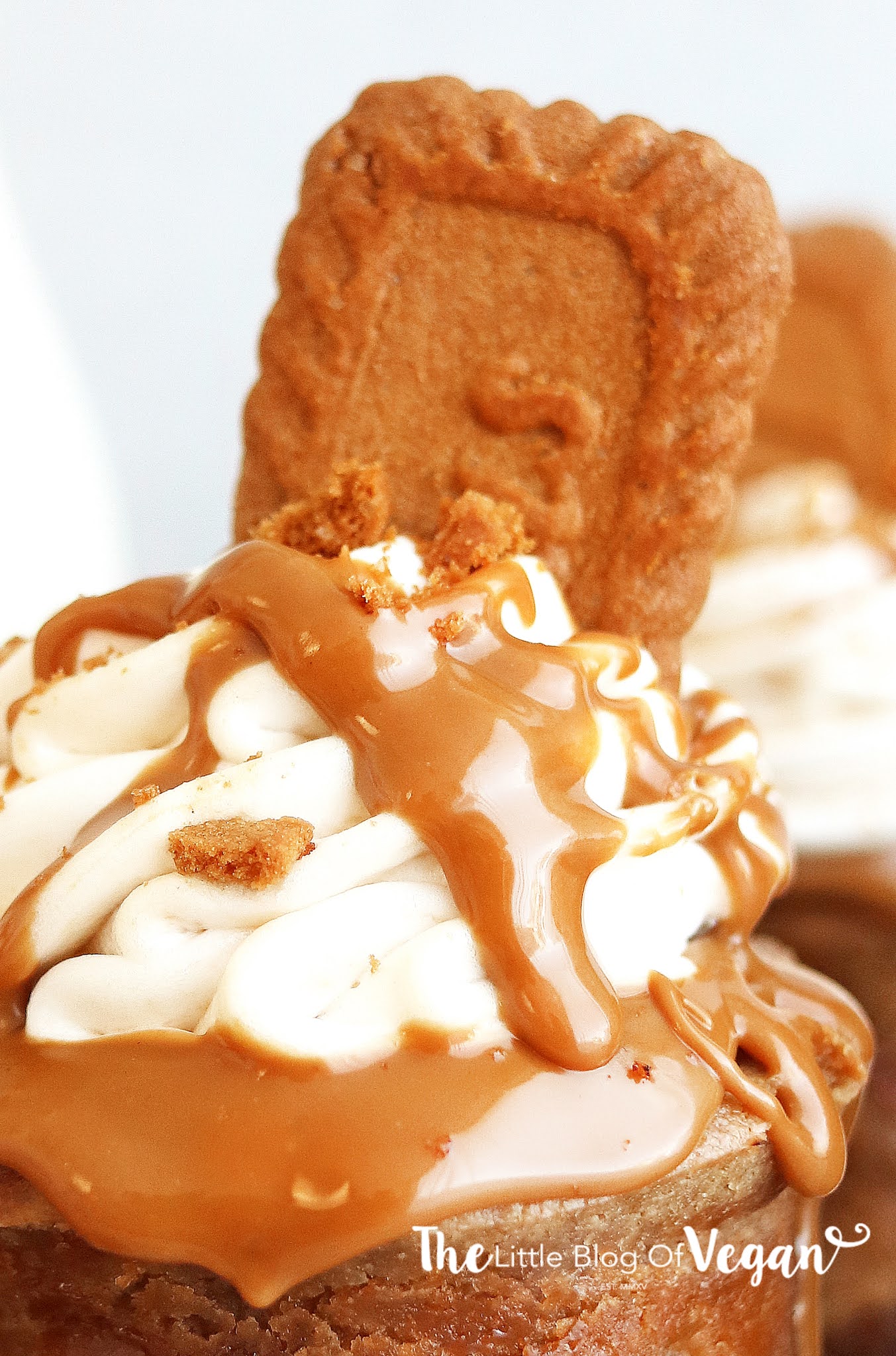 Mini Baked Biscoff Cheesecakes | The Little Blog Of Vegan