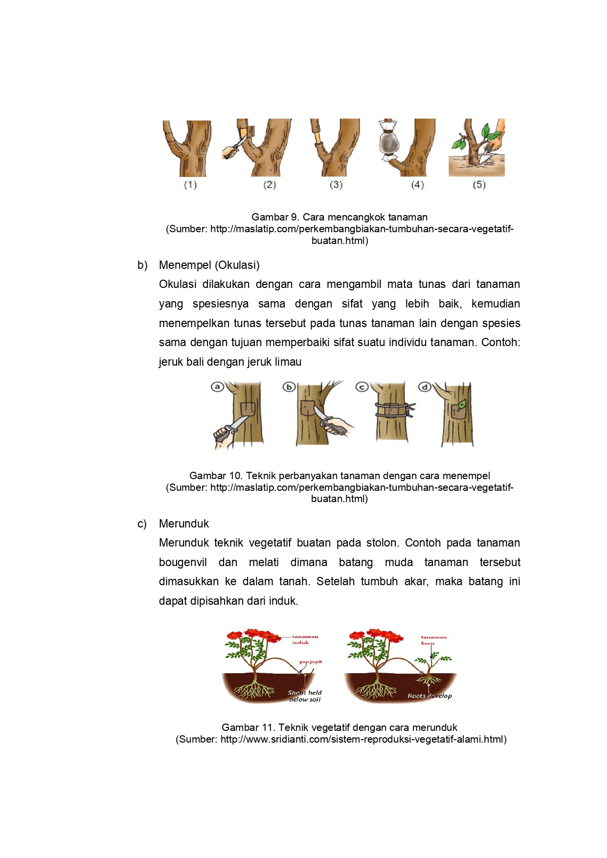 Sistem Perkembangbiakan Tumbuhan dan Hewan SMP/MTS kelas 9