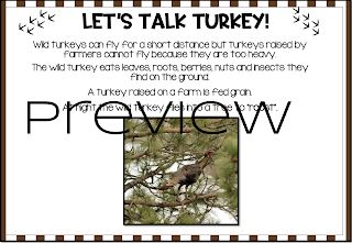 1st Grade Hip Hip Hooray!: Let's Talk Turkey!