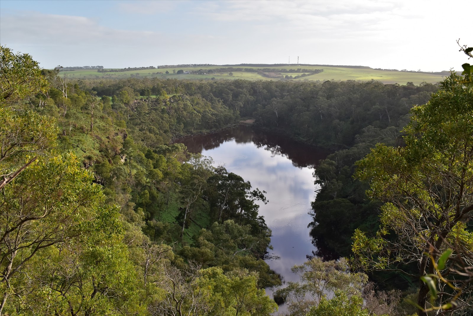 Goin' Feral One Day At A Time: Mt Eccles Lava Tubes, Budj Bim National ...