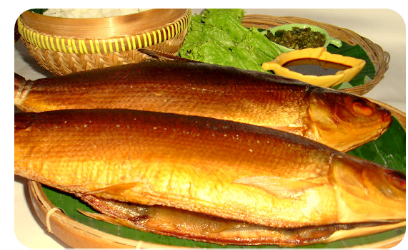 Resep membuat bandeng asap sidoarjo gurih - kuliner resep kita