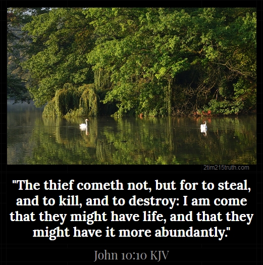 2 Timothy 2:15 Truth: Verse of the Day: John 10:10 KJV
