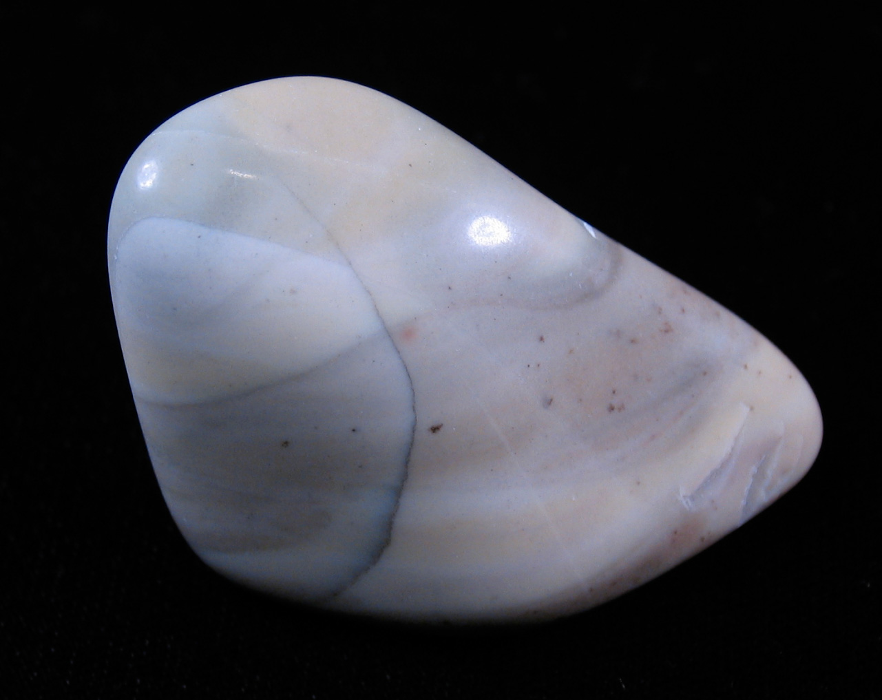 Louisville Fossils and Beyond: Archean Polished Butterstone