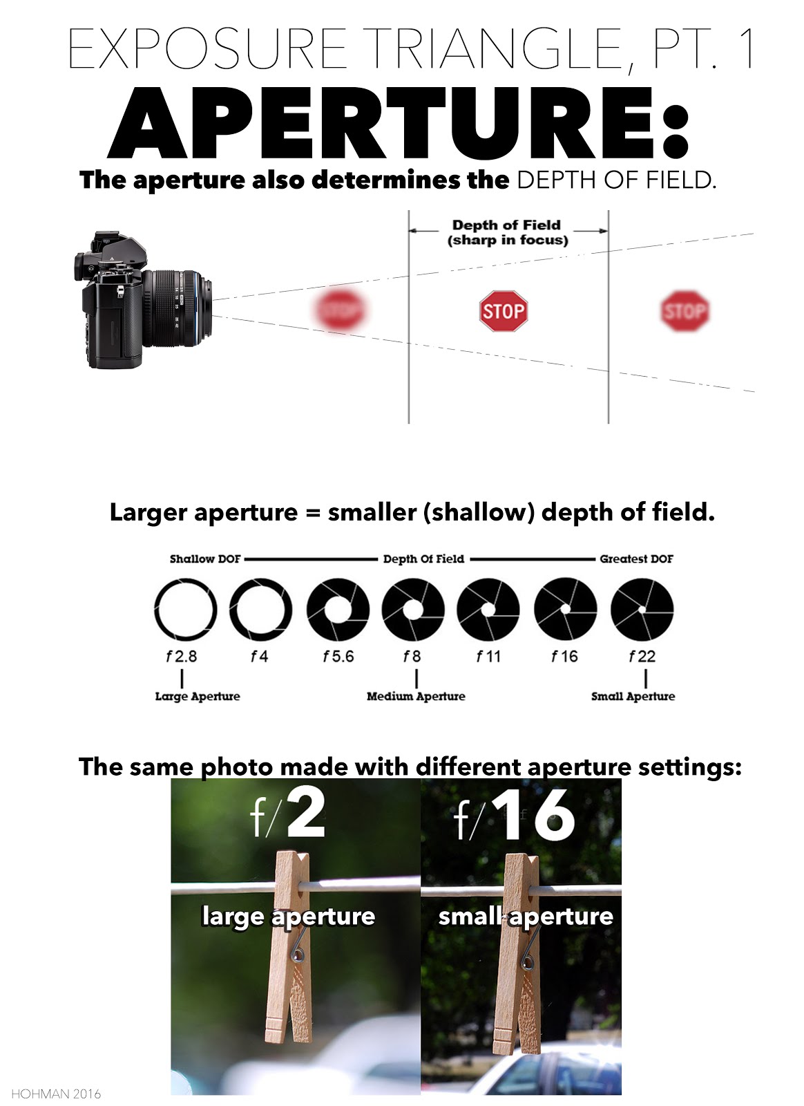 TIMBERWOLF PHOTOGRAPHY: PROJECT #3: MACRO (Close-ups using wide open ...