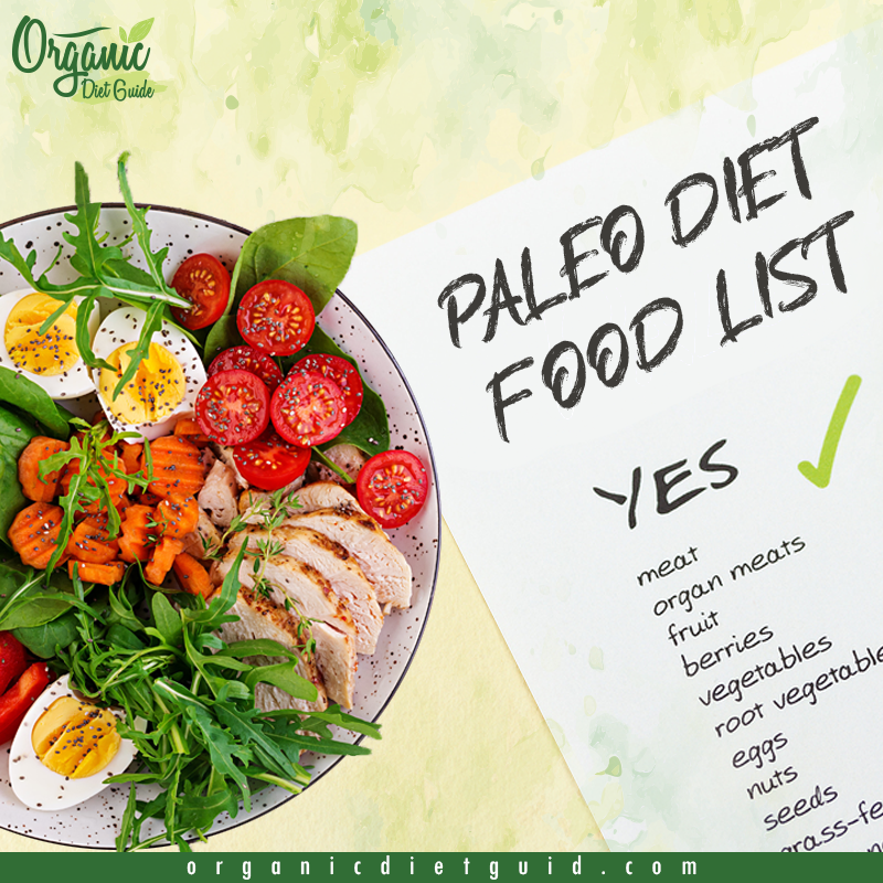 organicdietguide: Beginner’s Guide to Paleo | Paleo Diet Food List
