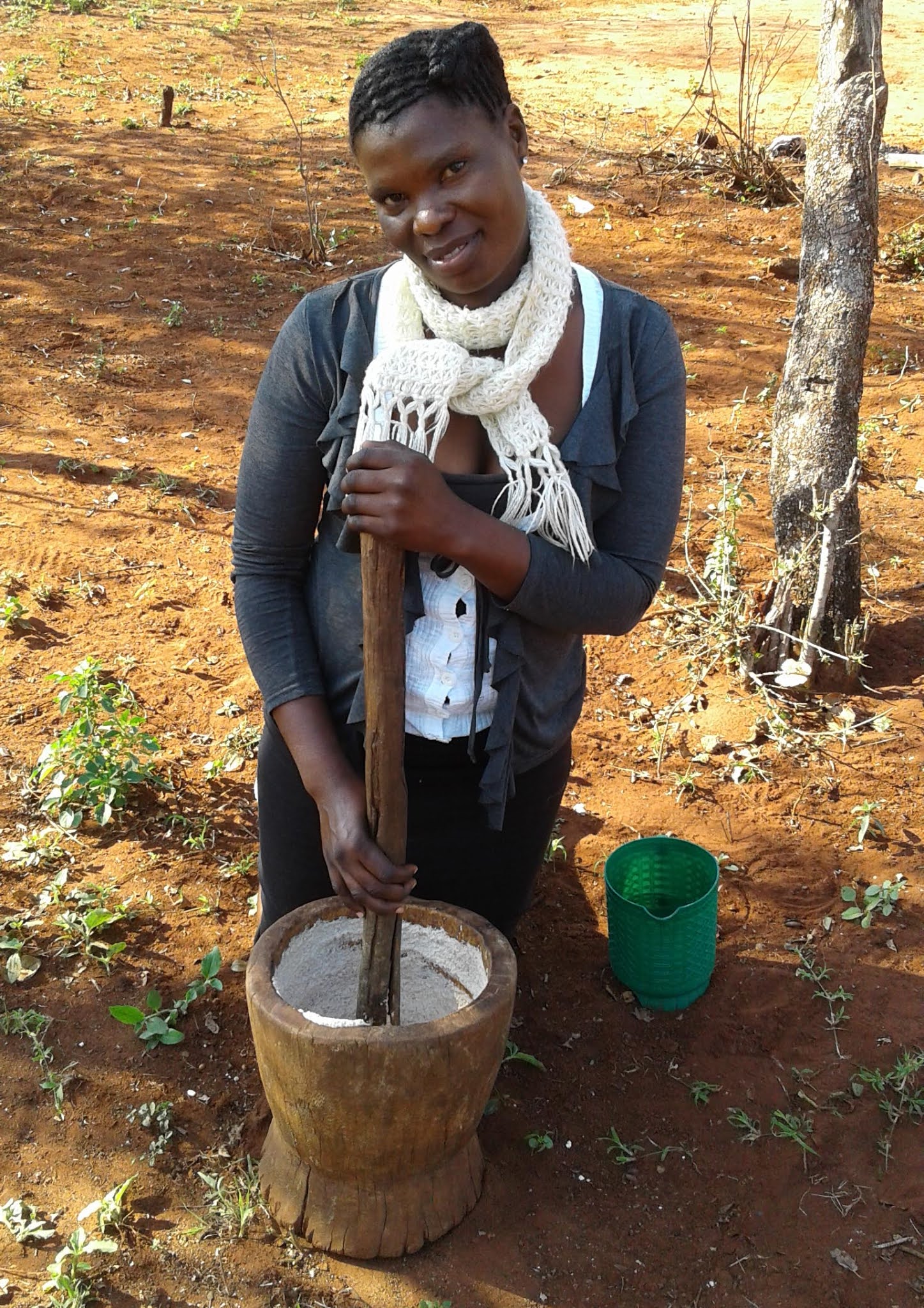 eMalangeni Forest: Indlubu an indigenous ground bean eMalangeni Forest
