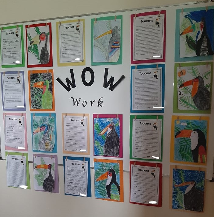 Ms. Forde's Classroom: Report Writing Animals (Toucans)
