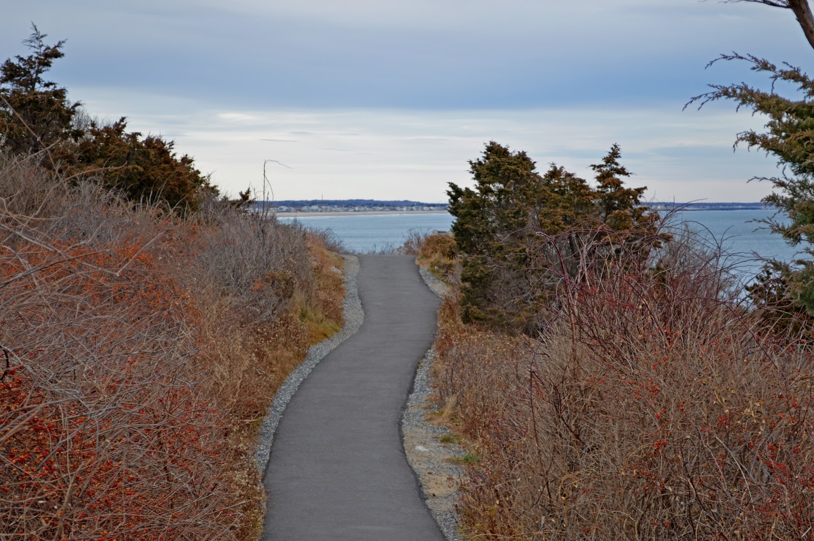 Diana’s Little Corner in the Nutmeg State: Thanksgivings Weekend Part 2