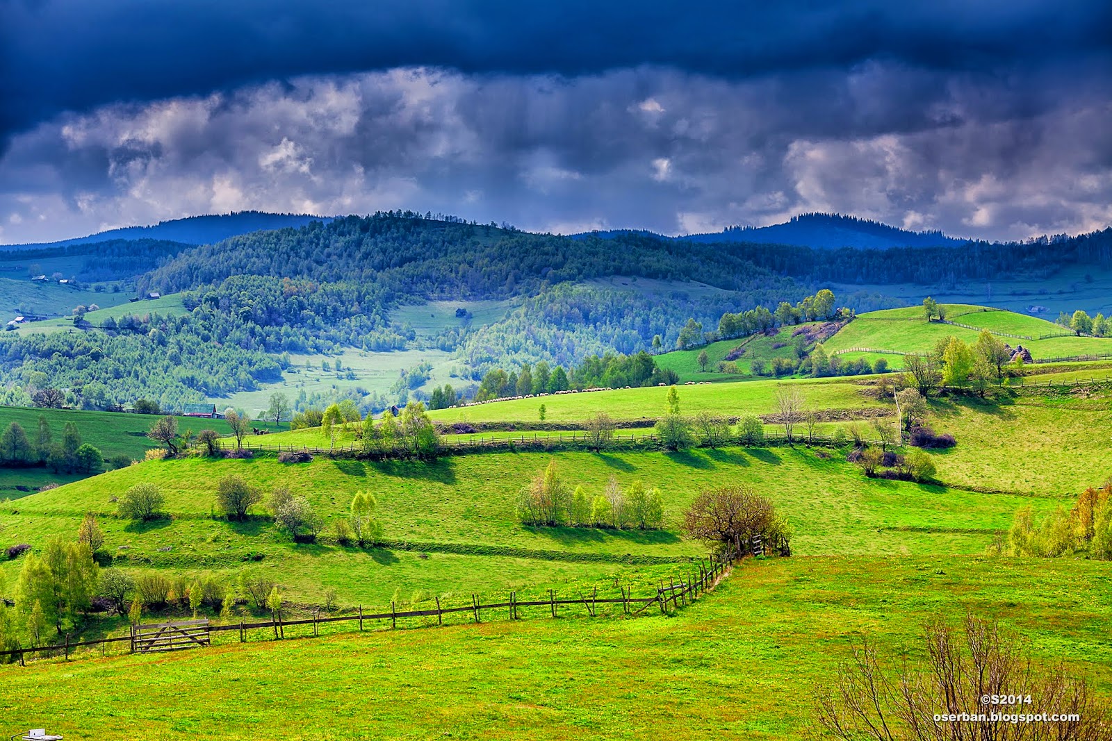 Octavian Serban: Somewhere in Romania...spring time...