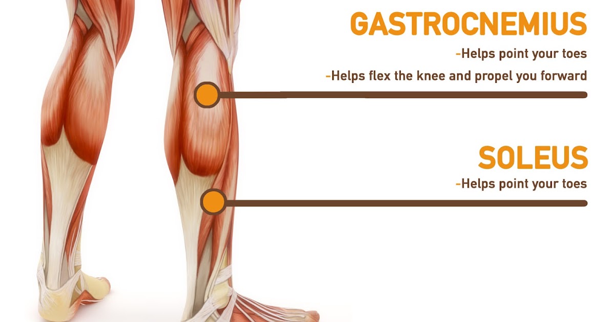 Gastrocnemius And Soleus Exercise With Massage Gun