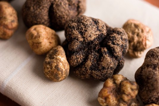 WHAT IS A TRUFFLE? |The Garden of Eaden