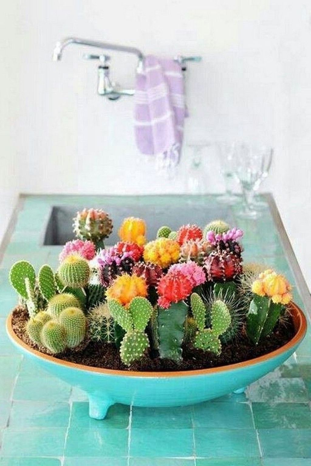 48 Cute Small Cactus Ideas To Maximize Your Interior Design | ARA HOME