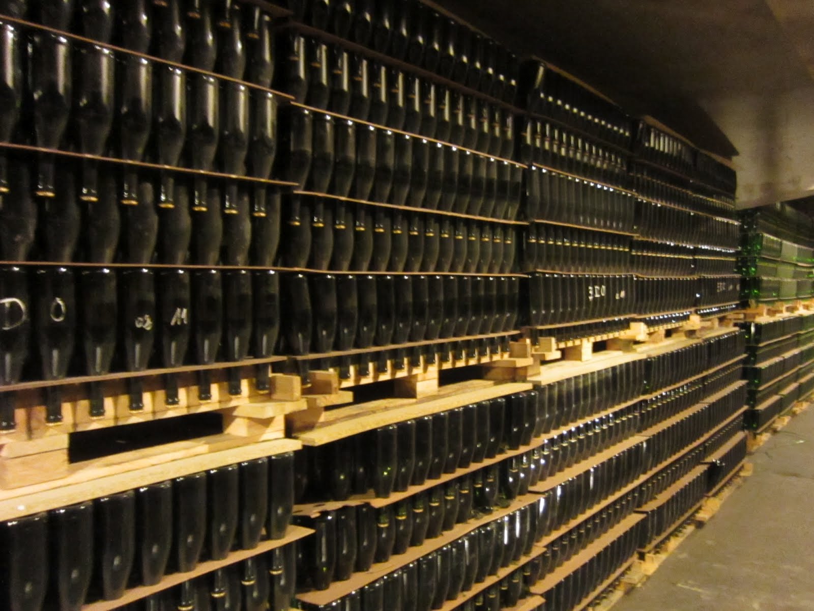 Where Is Darren Now?: Codorniu Cava Factory Tour