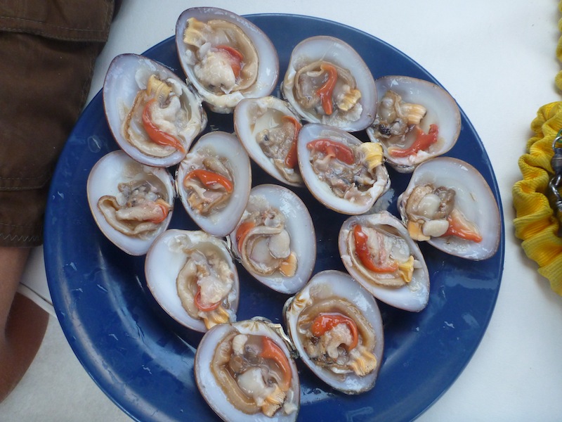 Starship - To Boldly Go...: Secrets of the Chocolate Clams Revealed