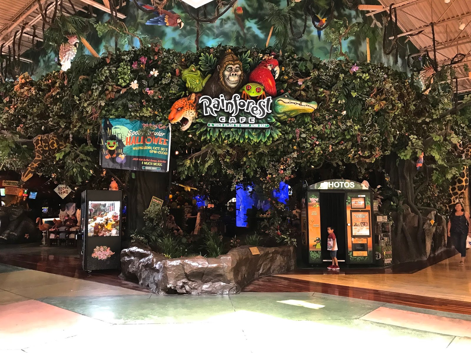 Phoenix Daily Photo: Inside the Rainforest