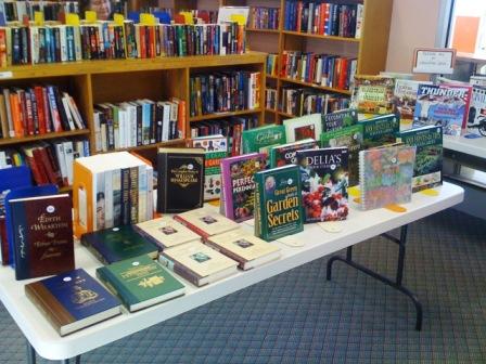 Old Bridge Library Blog