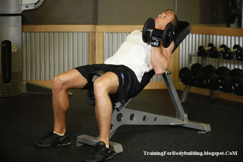 Best Biceps Workout ~ training for bodybuilding