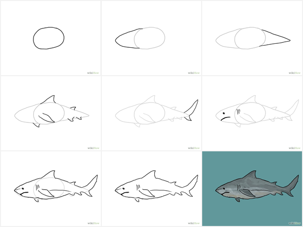 Double-headed Shart Attack: In honor of Shark Week: Let's learn how to ...