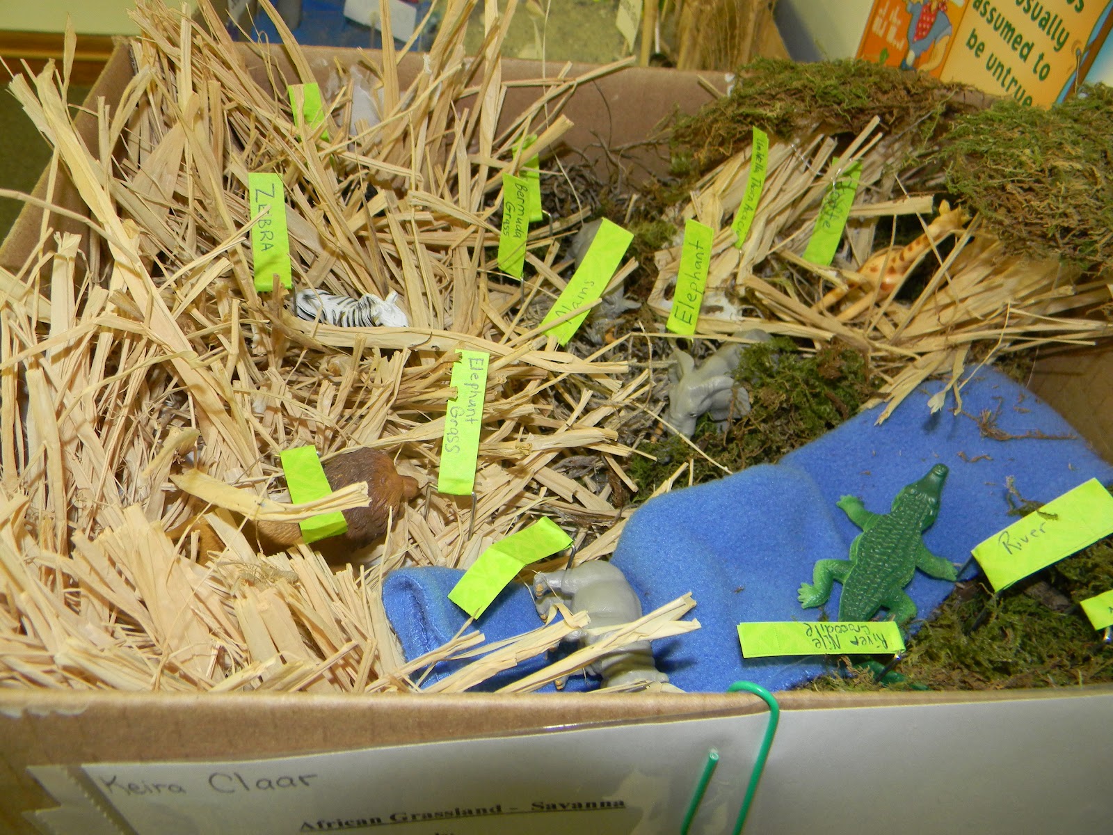 Middle School Science