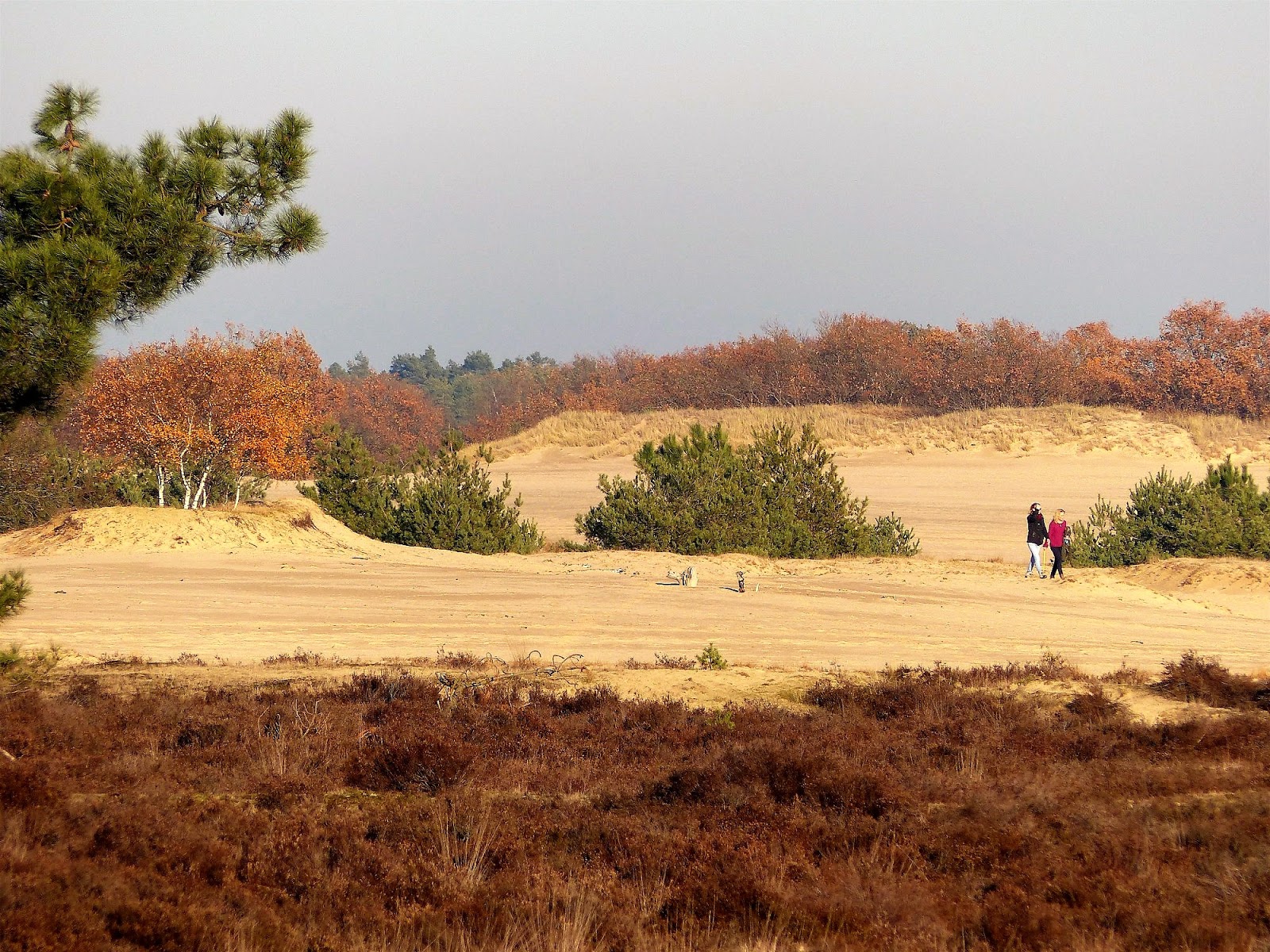 Mooiste Routes: Wandelen bij Udenhout (Noord-Brabant)
