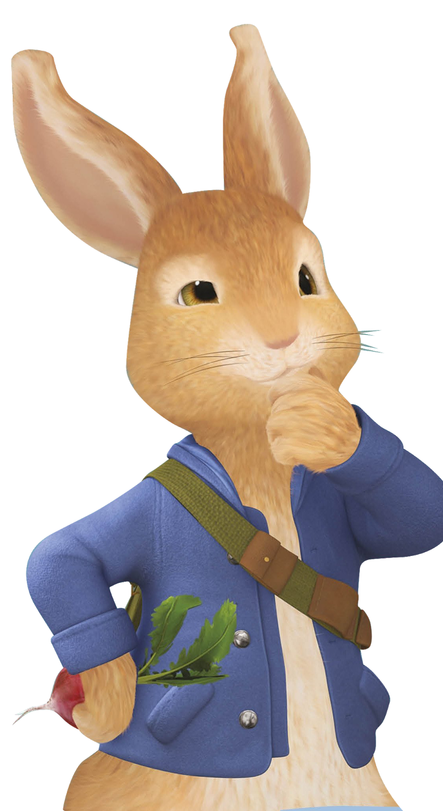 Mamá Decoradora: Las travesuras de Peter Rabbit PNG descarga gratis