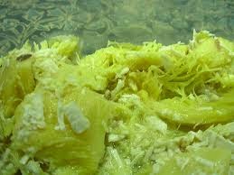 Always thinking positive.. Moving Foward!!: About Kadazan Dusun Sabah