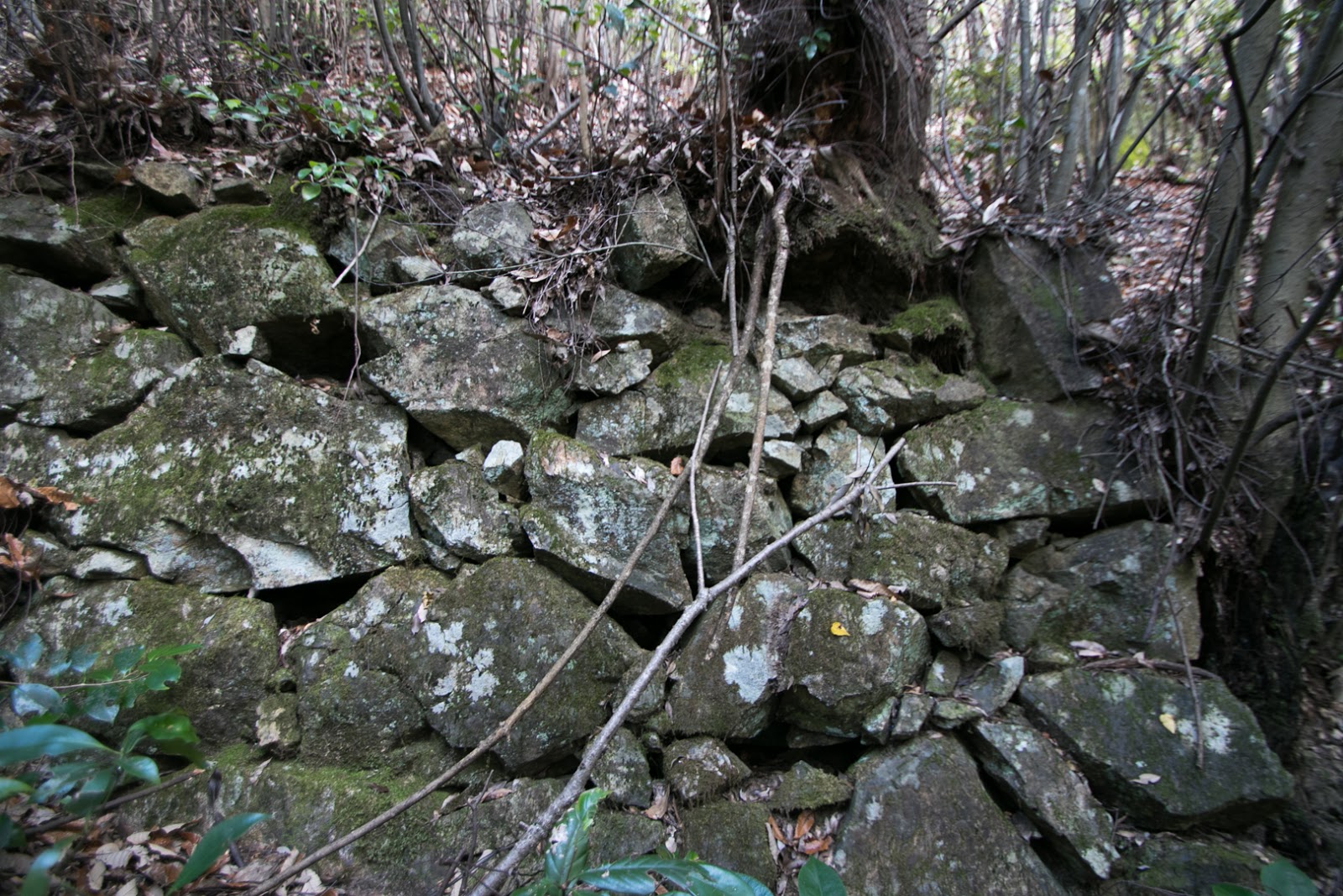 Iwao Castle -Time to treason (12) fall into dead end- | Japan Castle ...