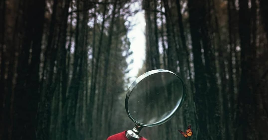 LANGKAH LANGKAH DALAM TEKNIK OBSERVASI ~ SANGGAR MISMALA