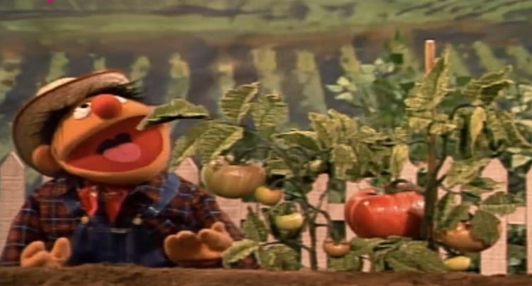 Sesame Street Episode 4085