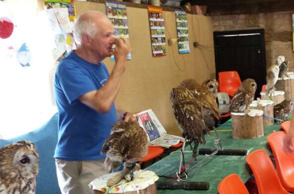 Learning and Exploring Through Play: Rays Farm Days out with the Kids