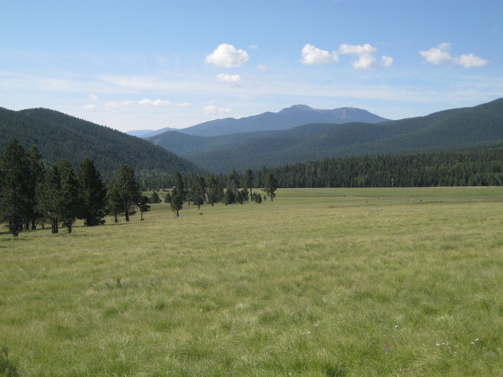 Highz's Ramblings: The Valley of Life