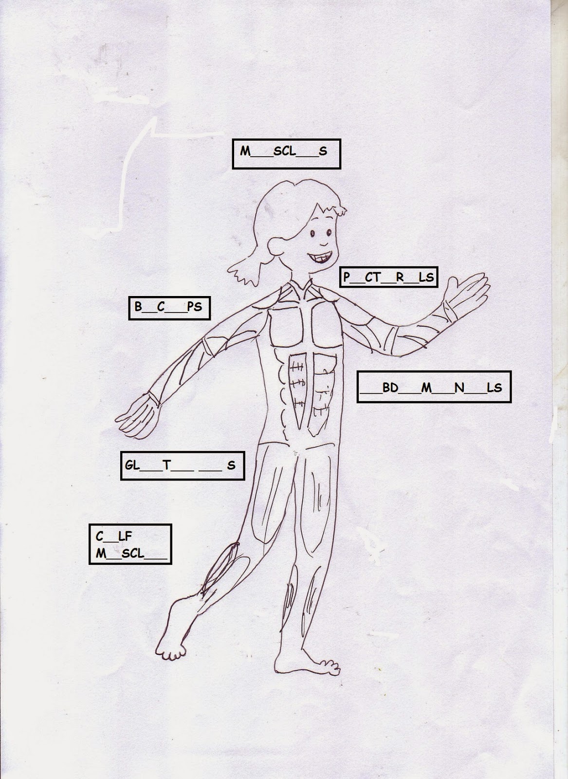 CLIL ART&SCIENCE: BODY WORKSHEET