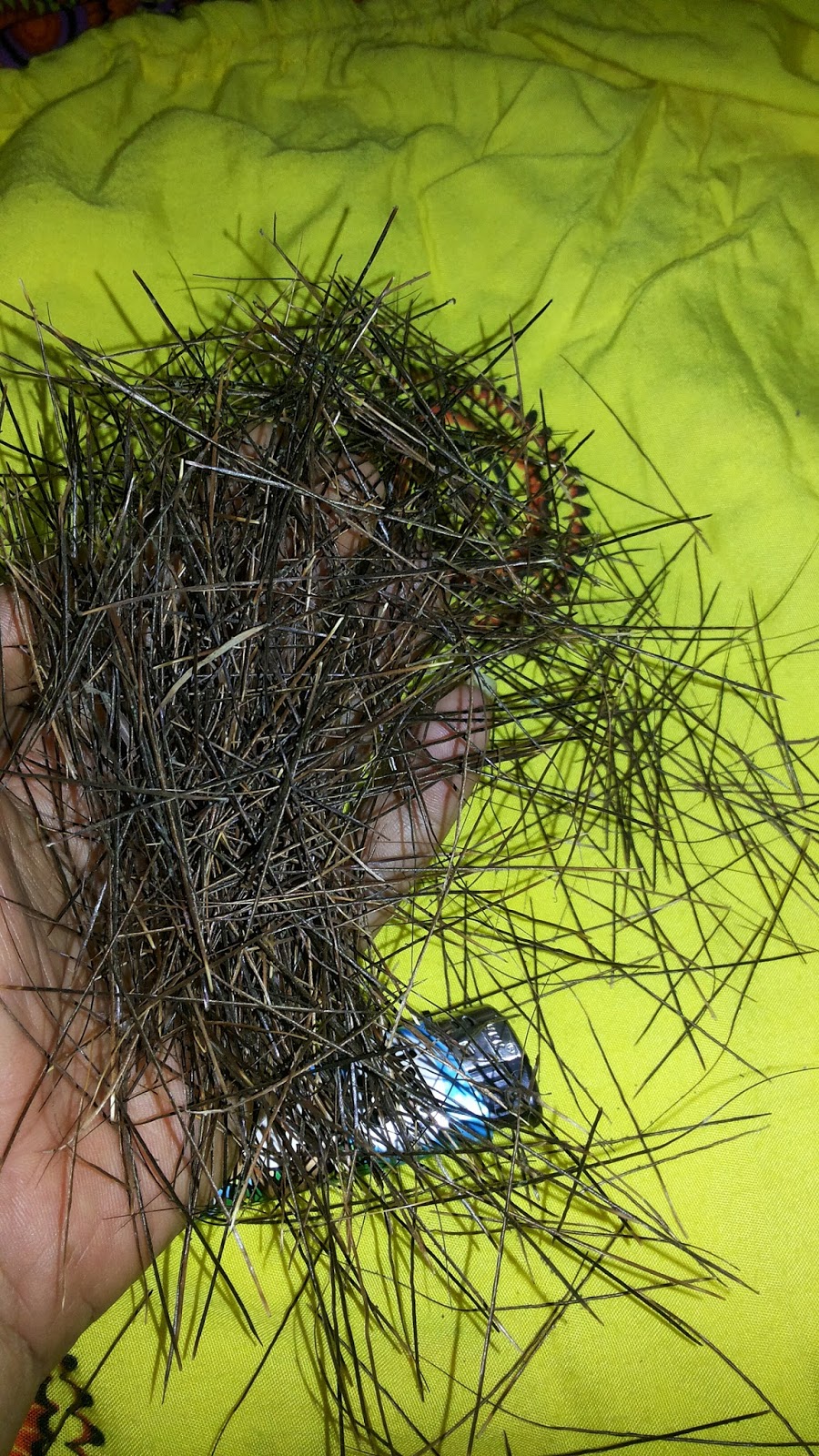 BULU PERINDU LAWAN ARUS ASLI | BENDA PUSAKA KALIMANTAN