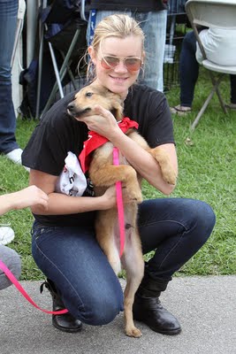 Amy Smart Biography | Amy Smart Hollywood actress Profile ~ Hot Photos Hub