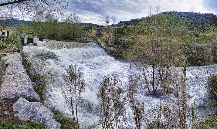 PUENTE-GENIL ES MI BLOG: El río Genil.-