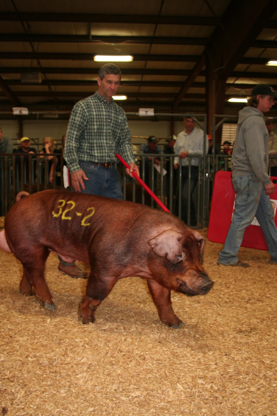 NSR Show & Sale Results: March 2013