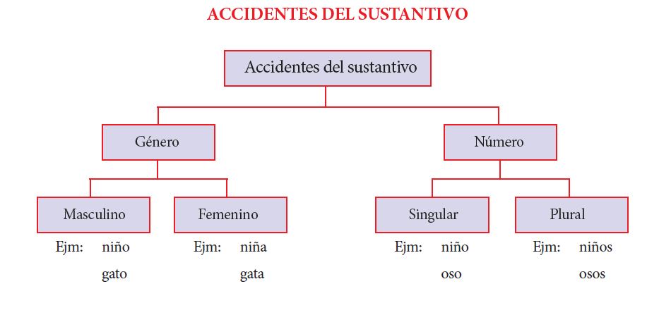 Aula Virtual Tercer grado: LENGUA CASTELLANA (El sustantivo)