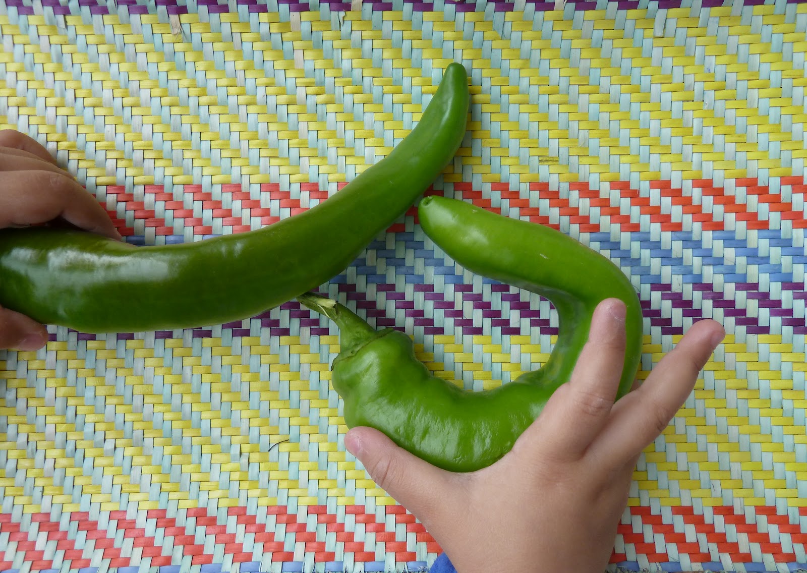 FOODISTAN: Turkish Delight : Yogurtlu Alti Ezmeli Kebab