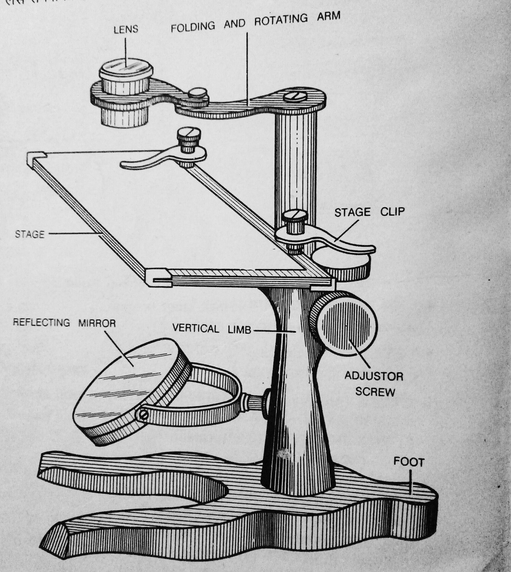 Dissecting Microscope Labeled