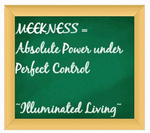 Illuminated Living: Meekness Is Not weakness