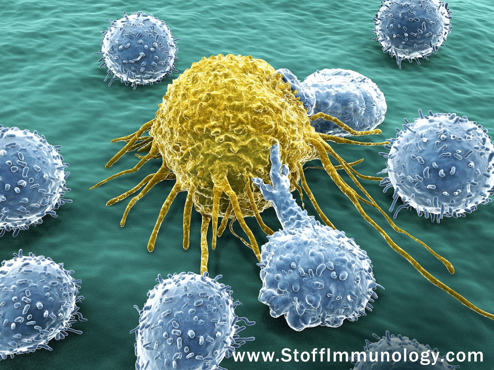 Onco-Immunology made Simple (Smart Strategies in Fighting Cancer ...