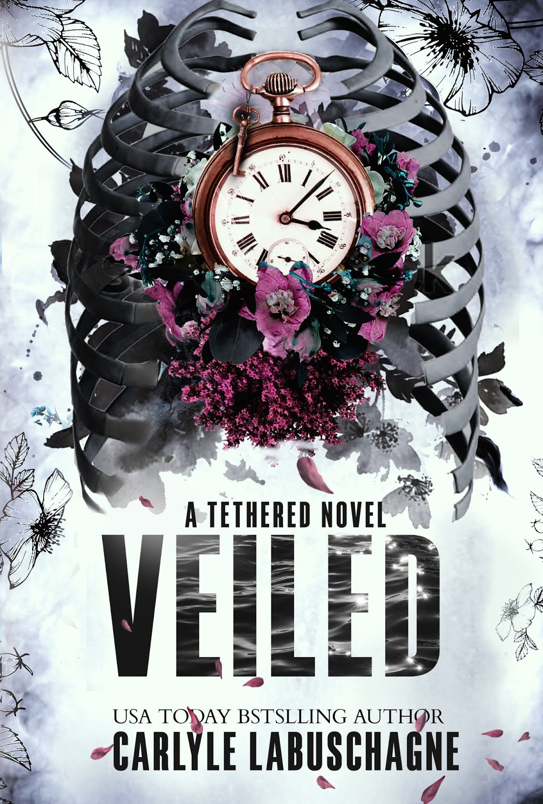 Veiled Book Cover Reveal — Adventures Of A Riot Grrrl