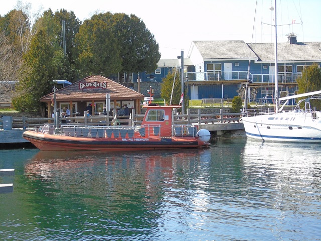 TARRY IN TARA: THOUGHTS OF DORCAS Bay