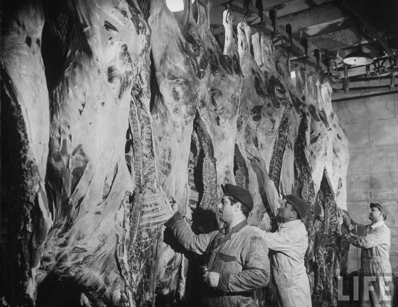 During World War II, Lots of Americans Ate Horse ~ Vintage Everyday