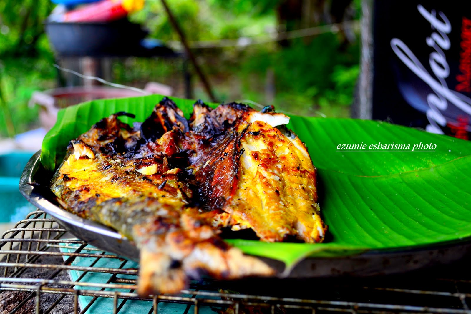 Blog Ezumie: Nak Makan Ikan Terubuk Bakar...